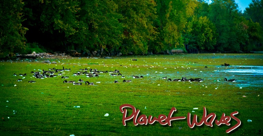 Planet Waves :: Your Monday Morning Horoscope