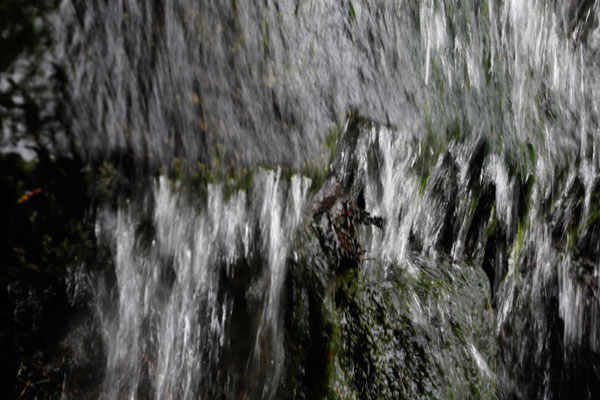 Mossy spot on a waterfall – Astrology and Horoscopes by Eric Francis